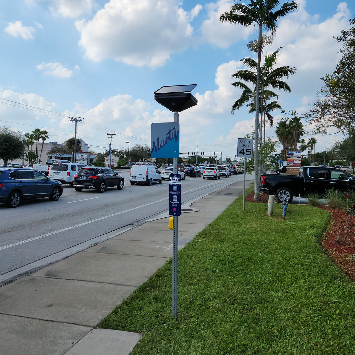 Solar Pole Light for Transportation Stops | SELS Solar